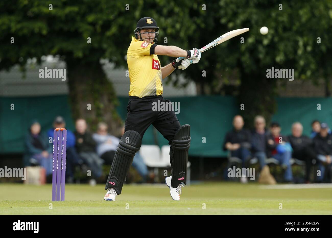 Cricket luke wright hi-res stock photography and images - Alamy