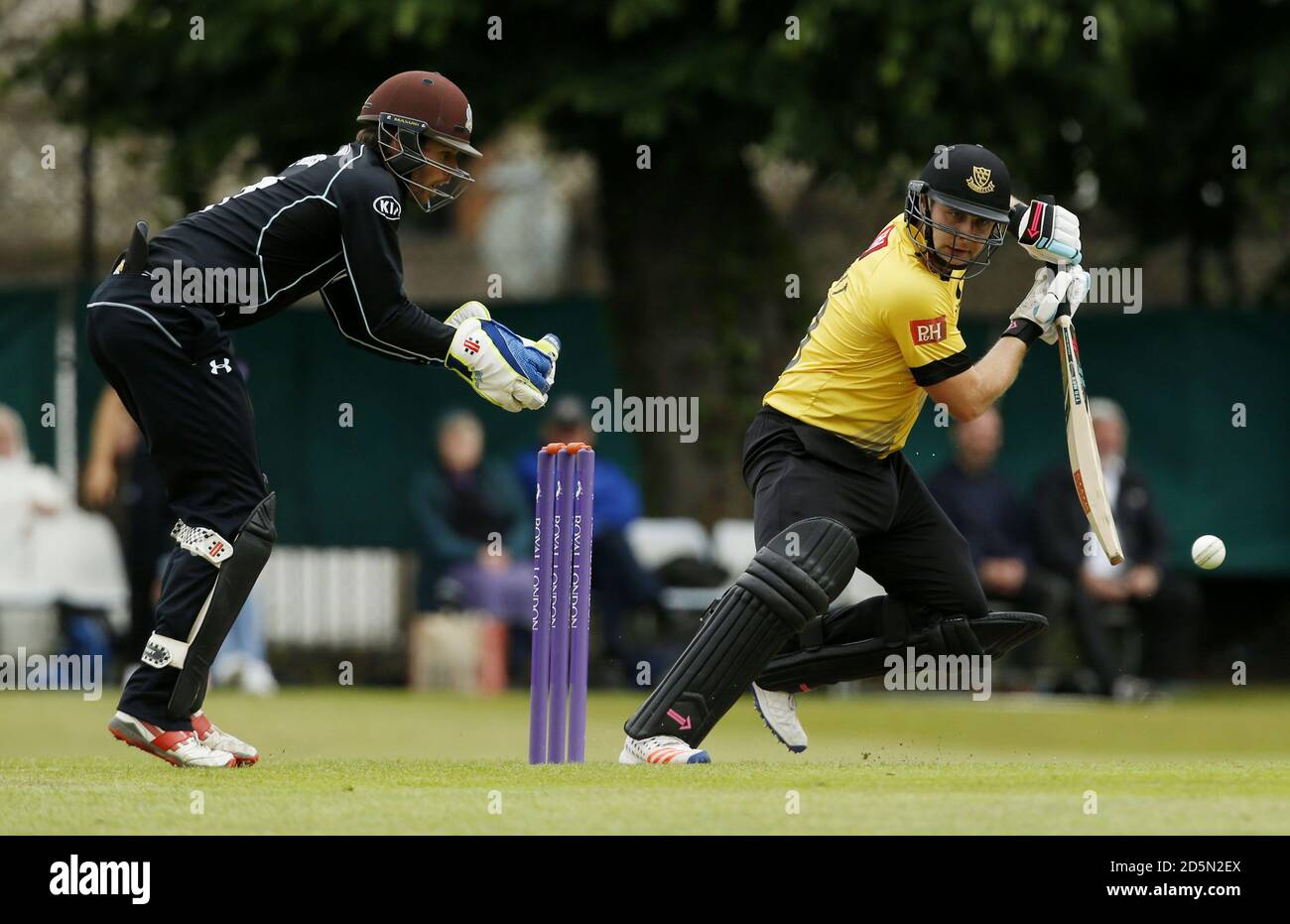 Ben wright cricket hi-res stock photography and images - Alamy
