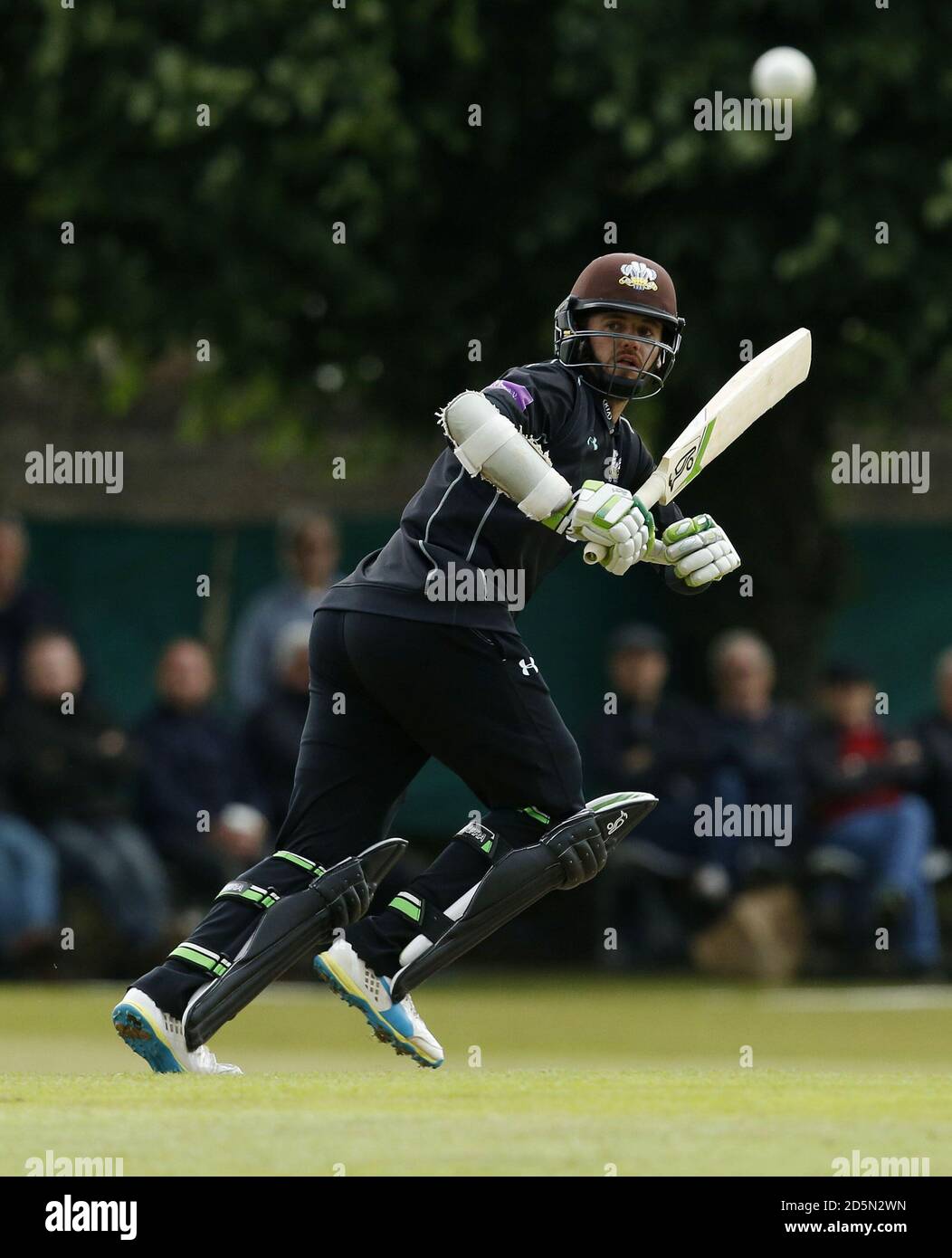 Surrey's Steven Davies Stock Photo - Alamy
