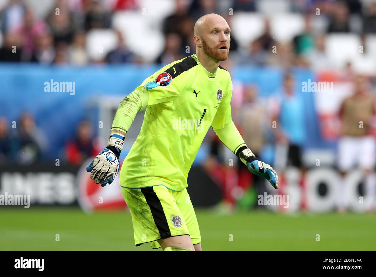 Austria goalkeeper Robert Almer Stock Photo - Alamy