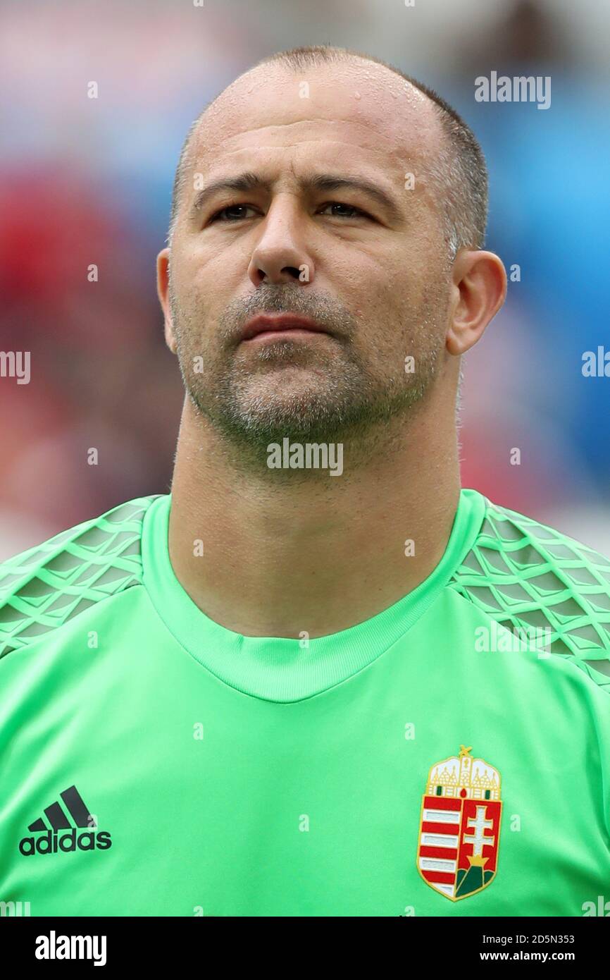 Hungary goalkeeper Gabor Kiraly Stock Photo - Alamy