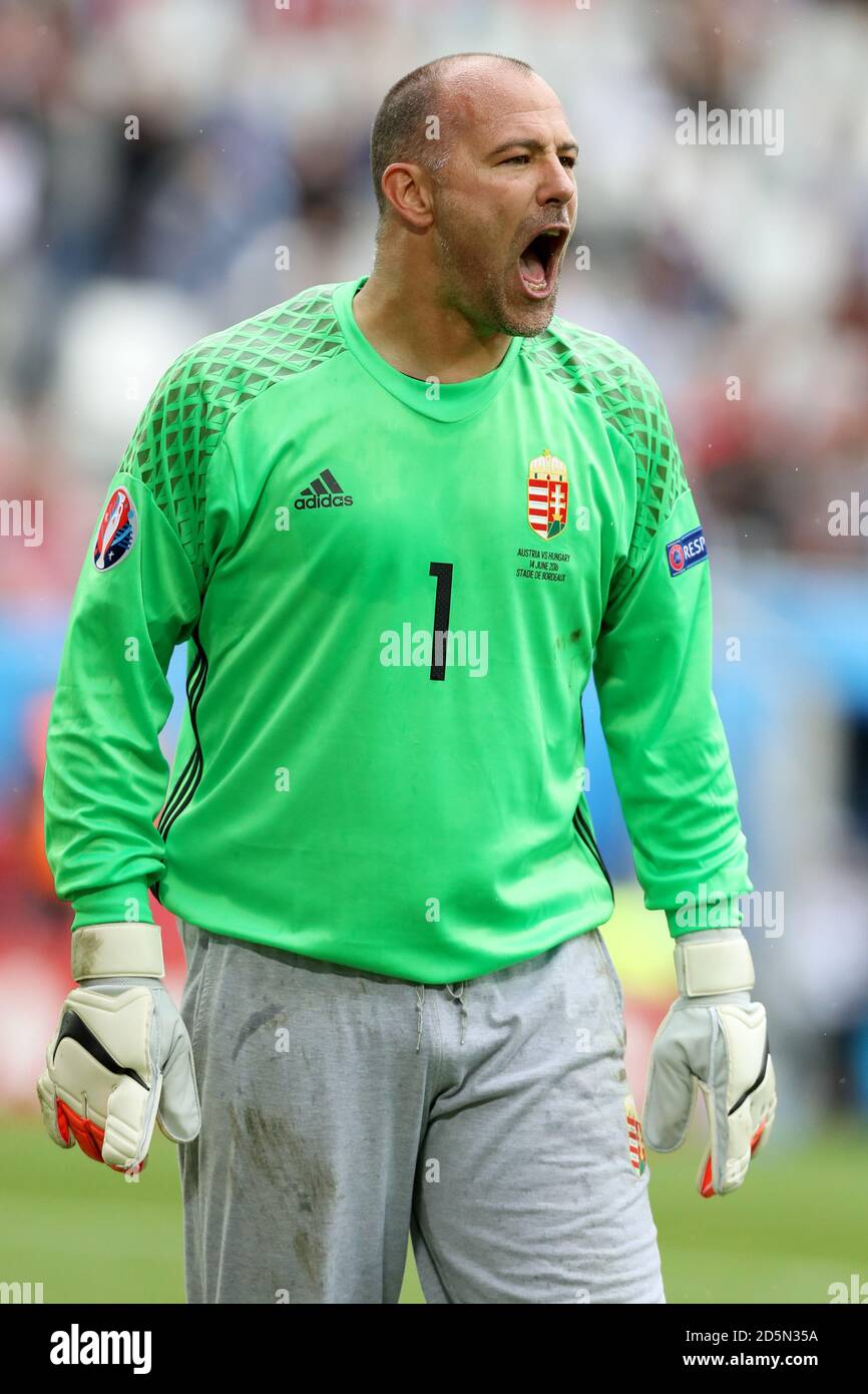 Hungary goalkeeper Gabor Kiraly Stock Photo - Alamy