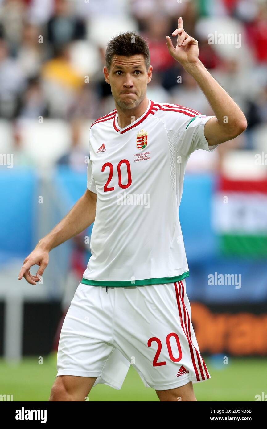 Hungary's Richard Guzmics Stock Photo - Alamy