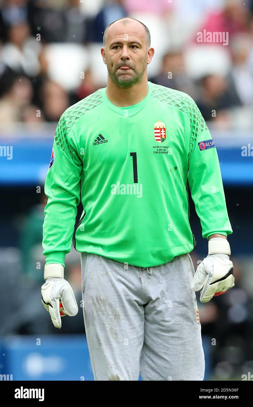 Hungary goalkeeper gabor kiraly hi-res stock photography and images - Alamy