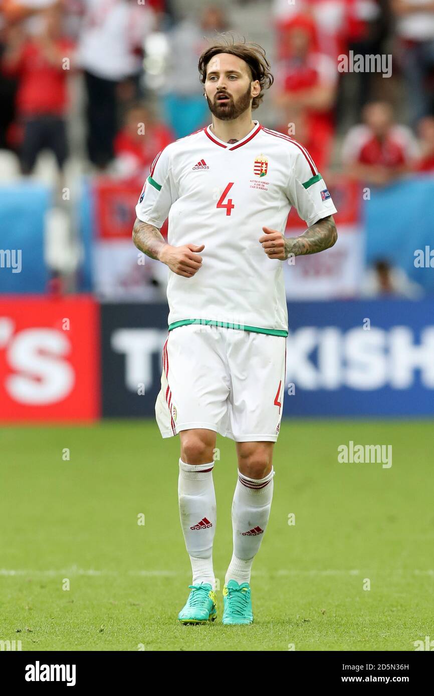 Hungary's Tamas Kadar Stock Photo - Alamy