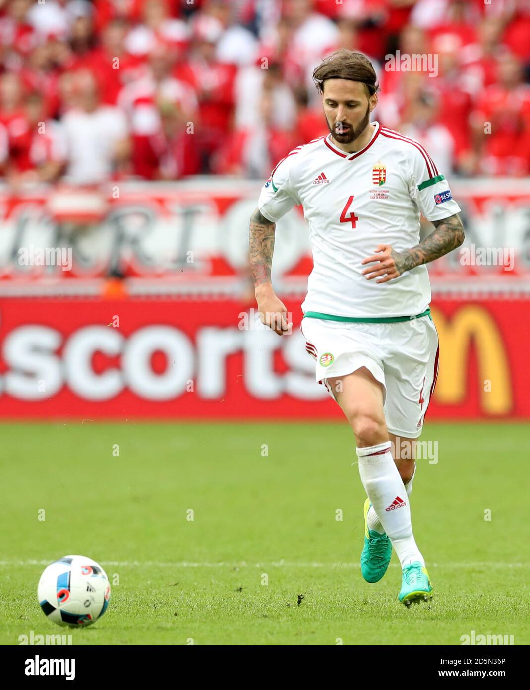 Hungary's Tamas Kadar Stock Photo - Alamy