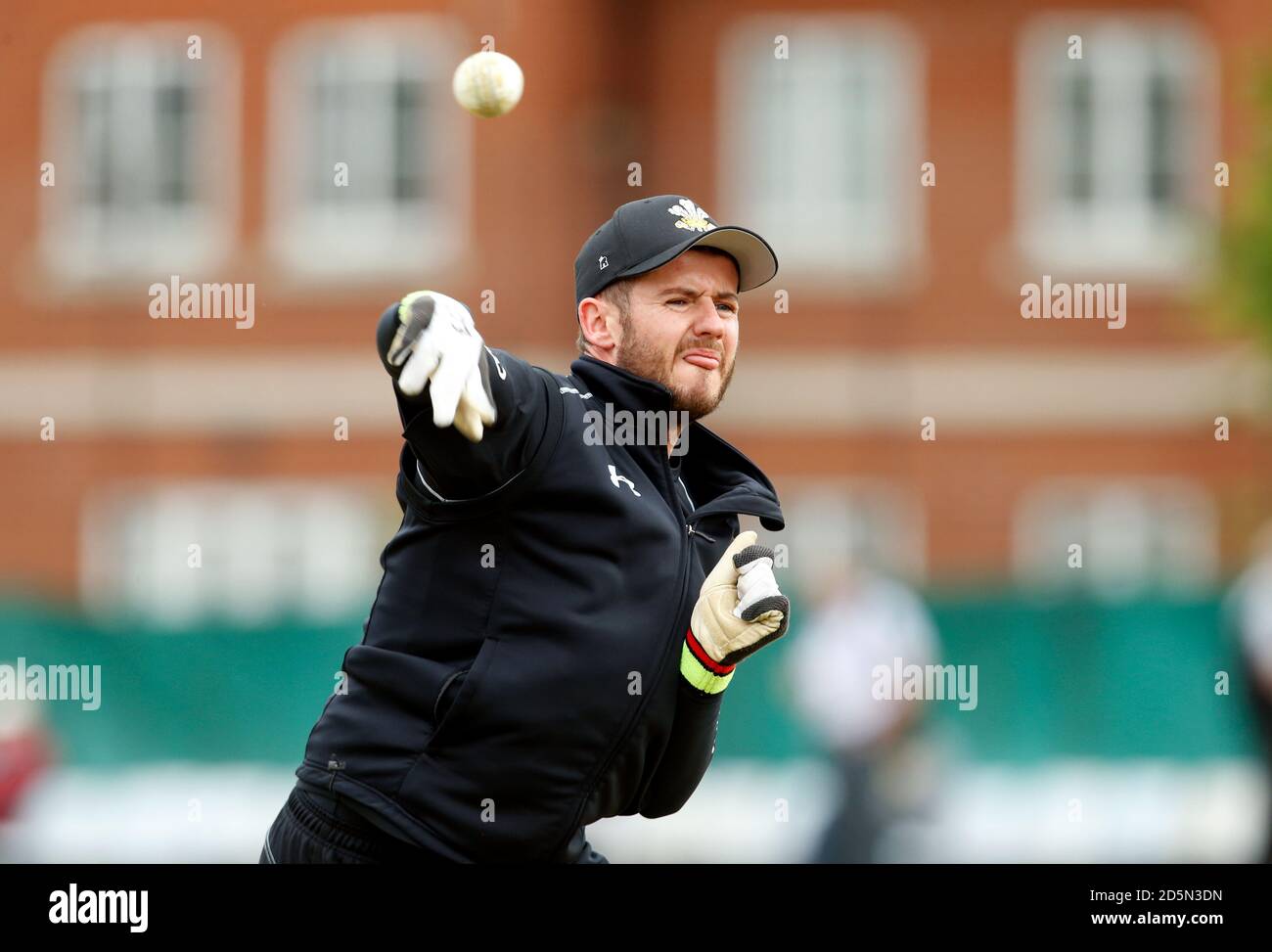 Surrey's Steven Davies Stock Photo - Alamy
