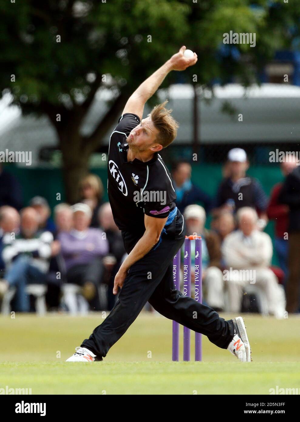 Surrey's Stuart Meaker Stock Photo - Alamy