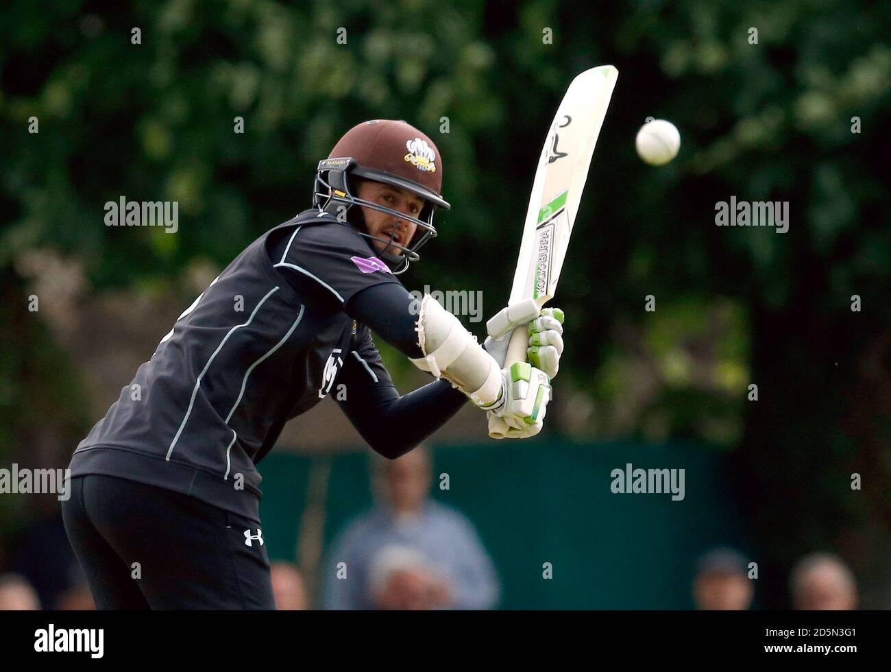 Surrey's Steven Davies Stock Photo - Alamy