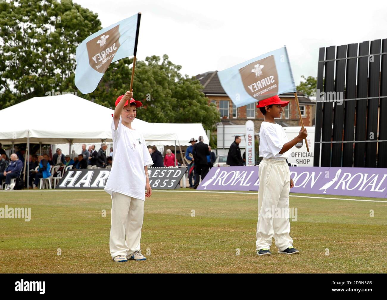 Guard of honour cricket hi-res stock photography and images - Alamy