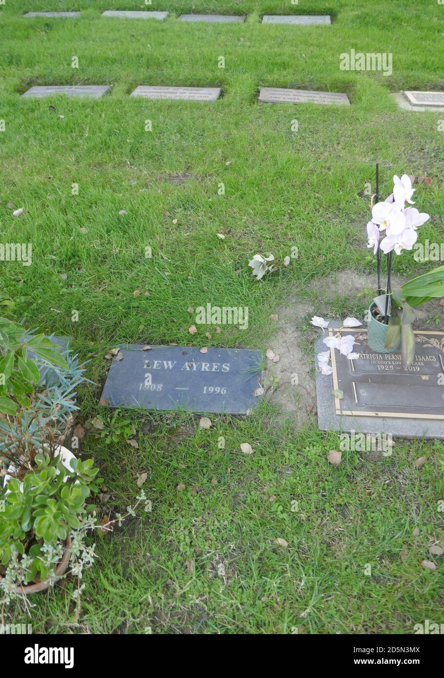 Los Angeles, California, USA 13th October 2020 A general view of ...