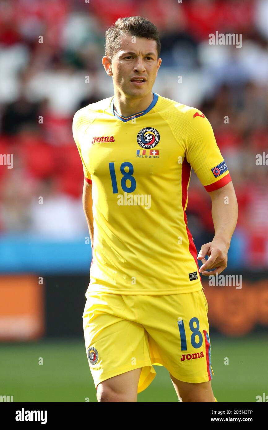 Prepelita High Resolution Stock Photography and Images - Alamy