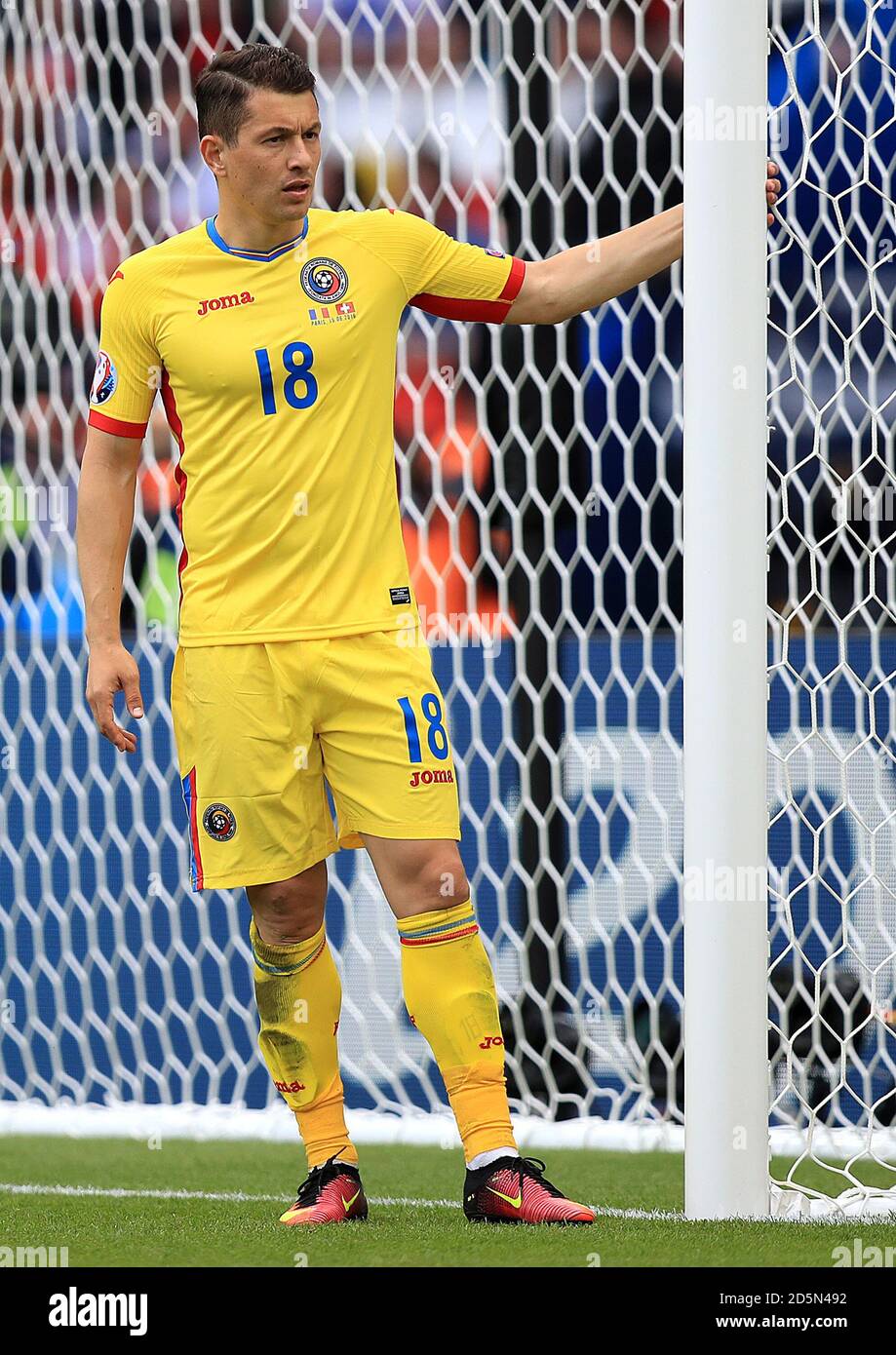 Prepelita High Resolution Stock Photography and Images - Alamy