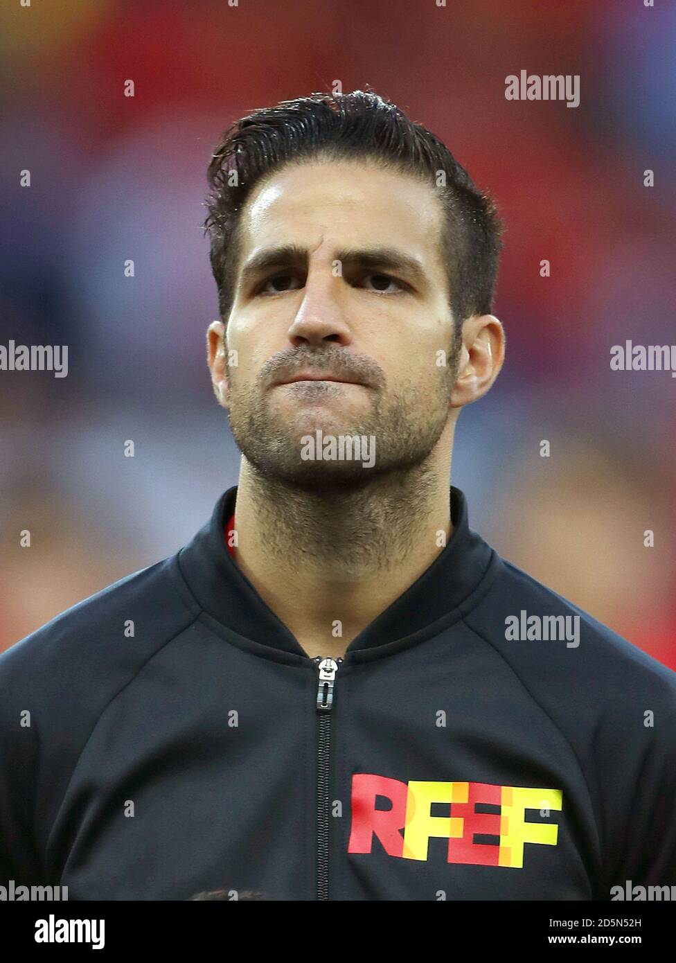 Cesc Fabregas Long Hair