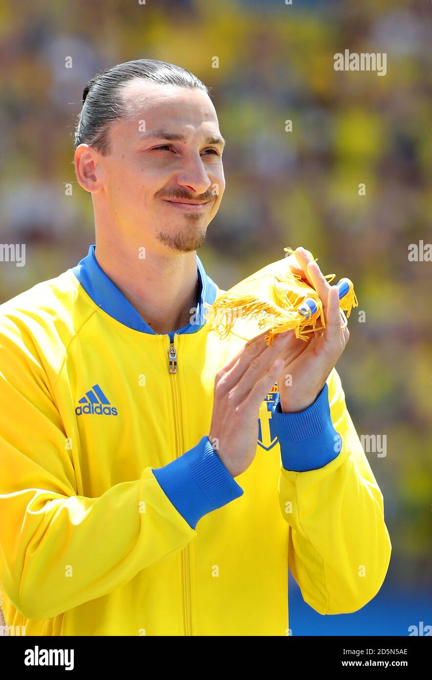 Zlatan Ibrahimovic, Sweden Stock Photo - Alamy