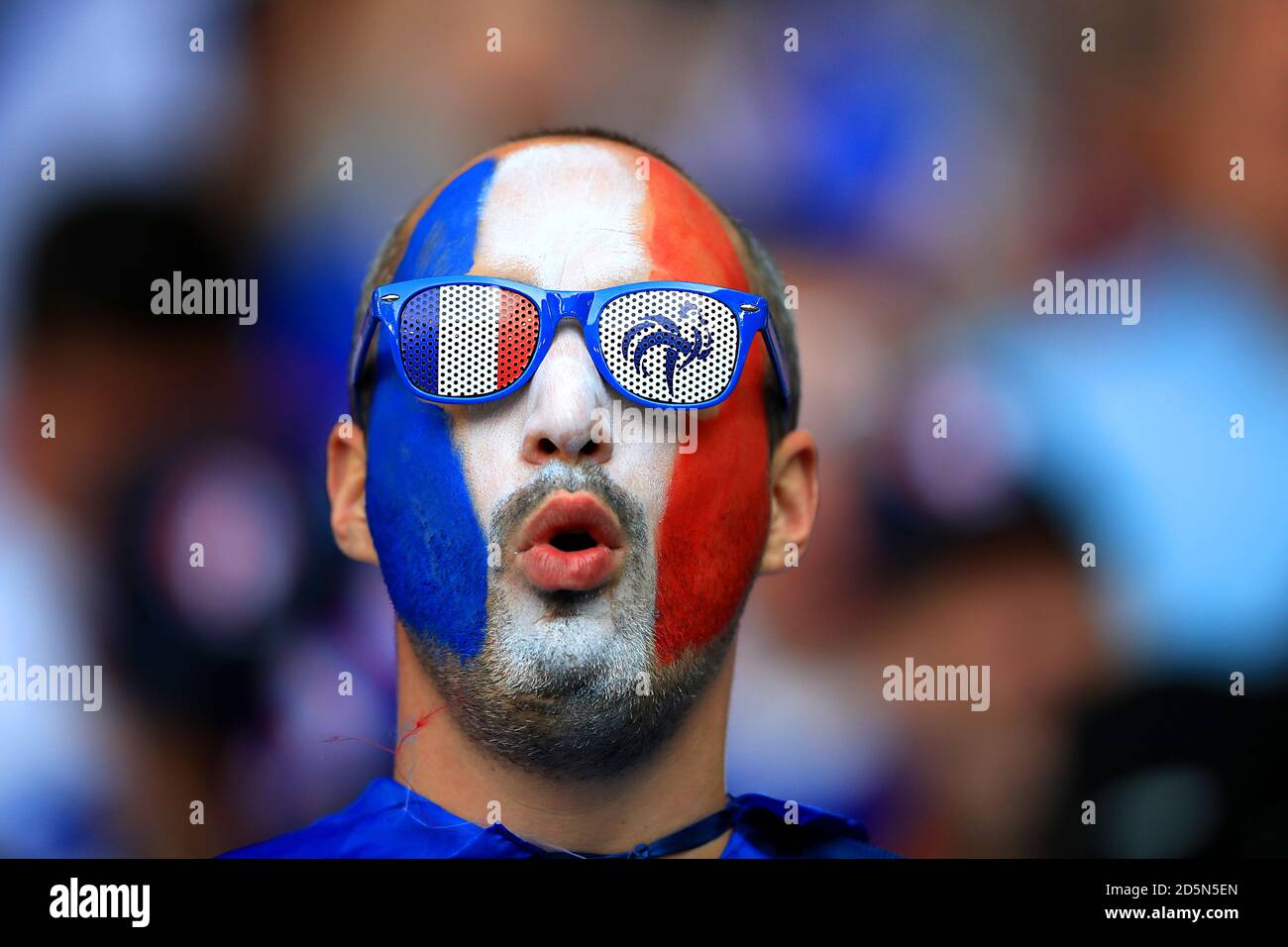 France football fans in stands hi-res stock photography and images - Alamy
