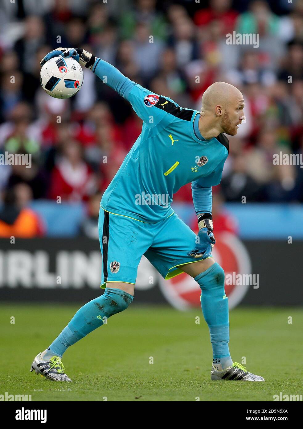Austria goalkeeper Robert Almer Stock Photo - Alamy