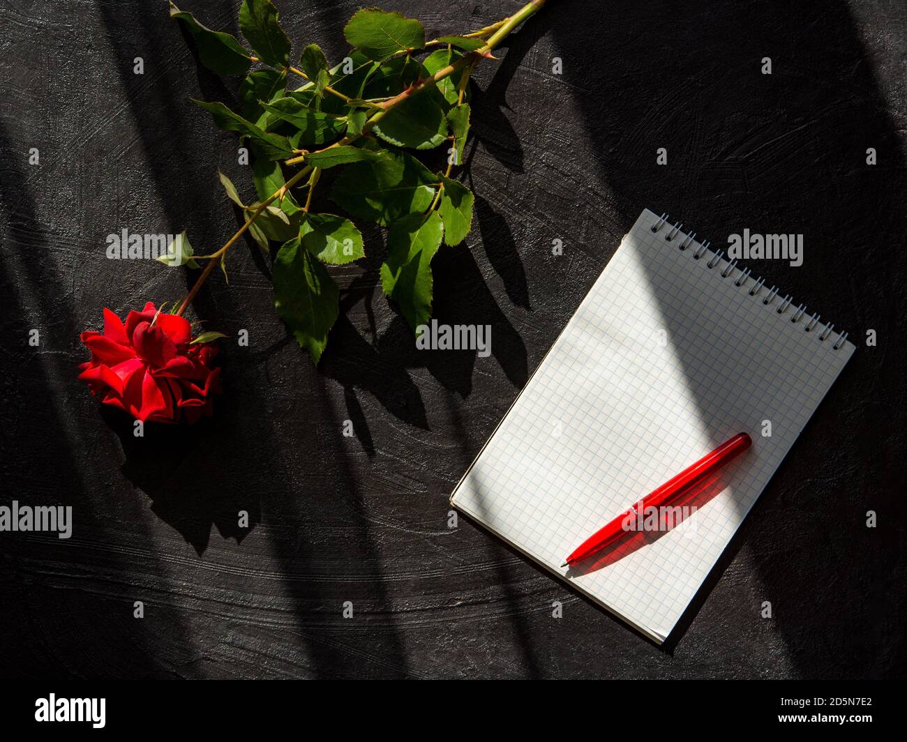 Red rose and Notepad on a black background. Top view of the flat layout ...