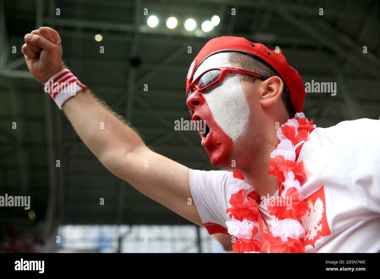 A poland fan in stands hi-res stock photography and images - Alamy