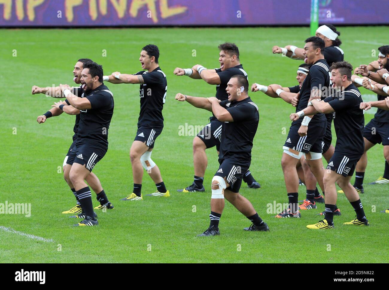 The New Zealand team perform the haka Stock Photo - Alamy