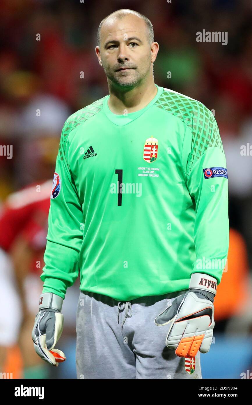 Hungary goalkeeper Gabor Kiraly Stock Photo - Alamy