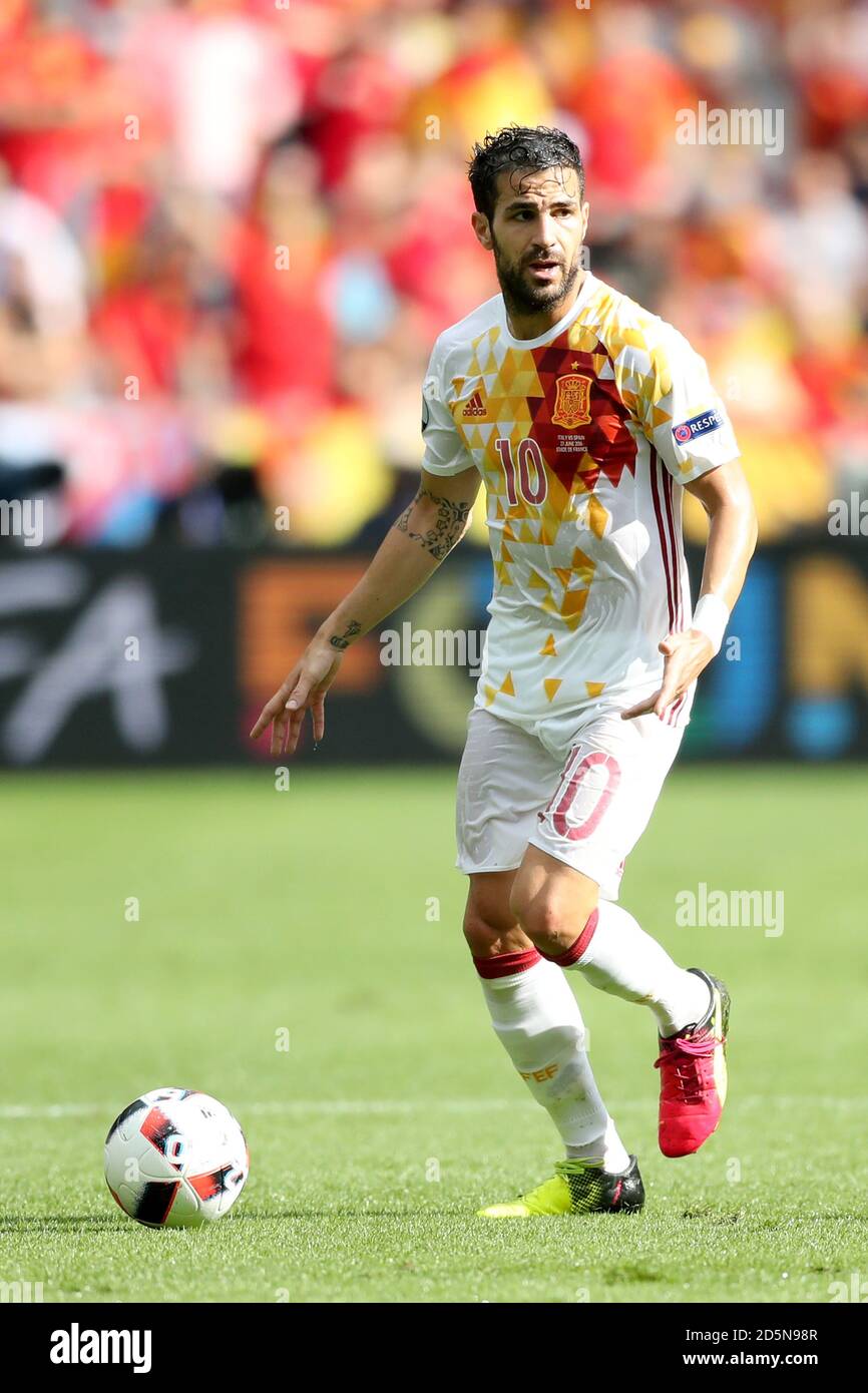 Spain's Cesc Fabregas Stock Photo - Alamy