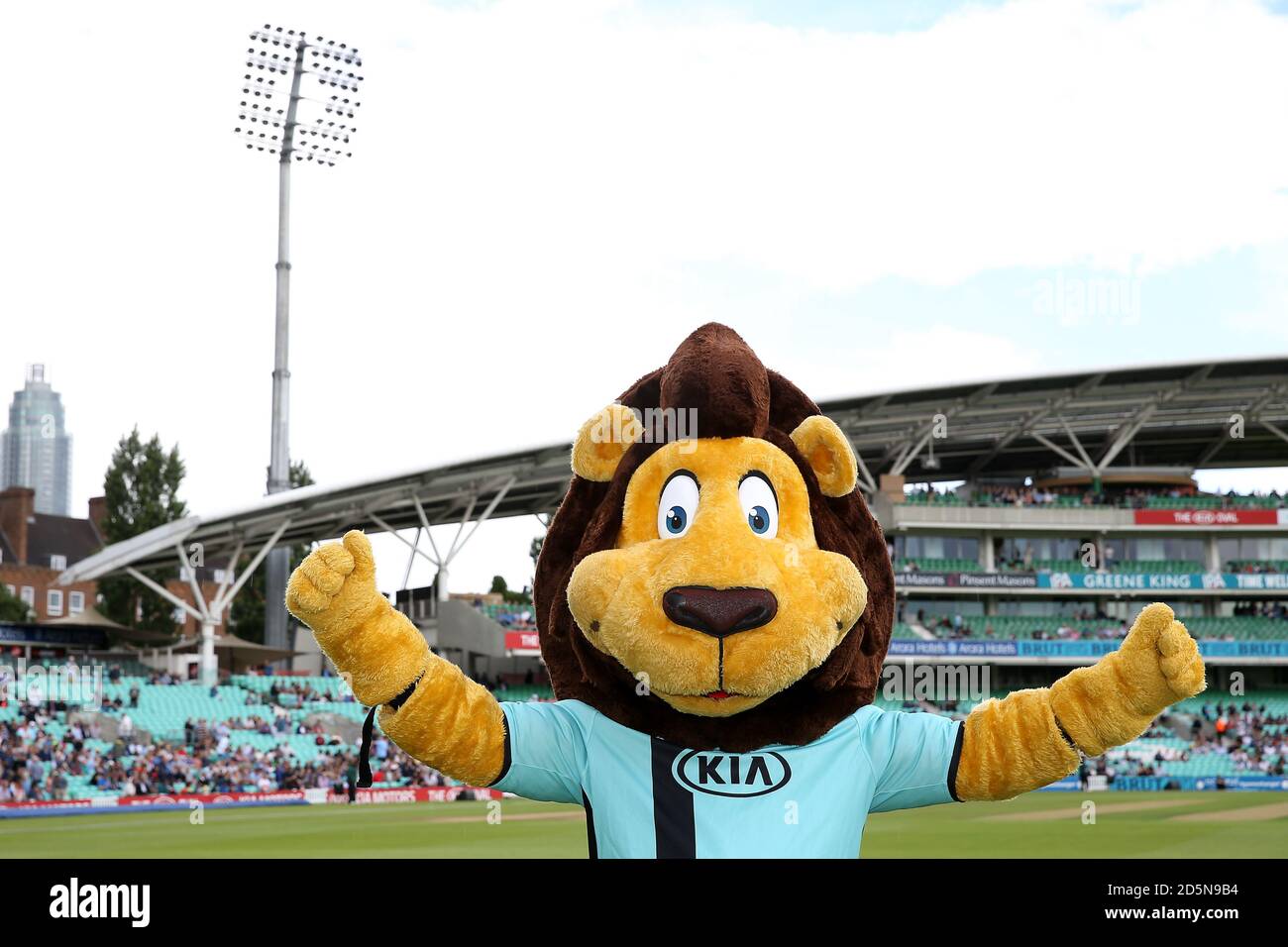 Surrey mascot Caesar the Lion Stock Photo - Alamy