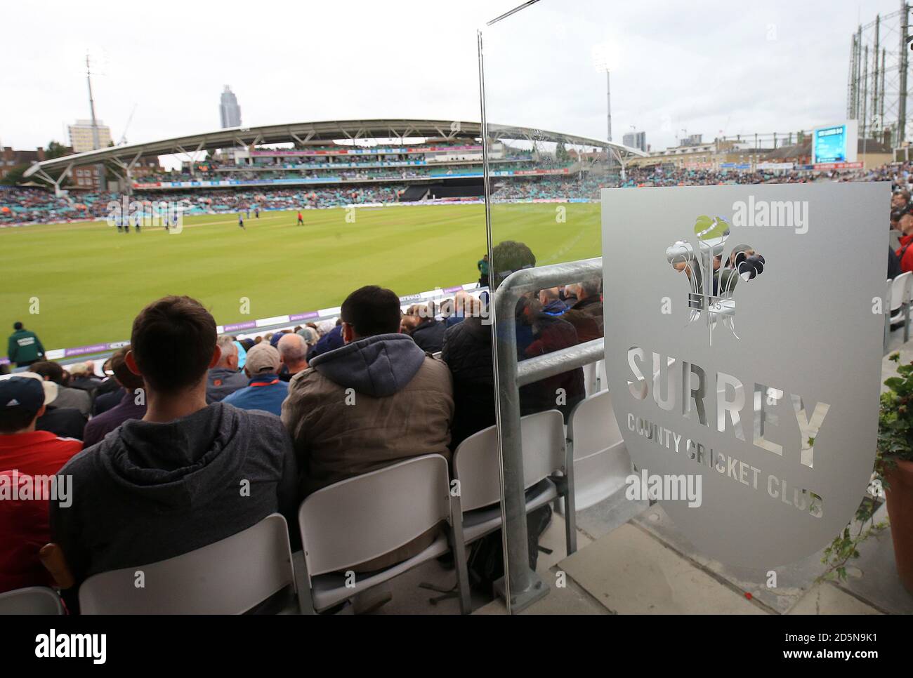 Surrey County Cricket Club livery at the Kia Oval Stock Photo - Alamy
