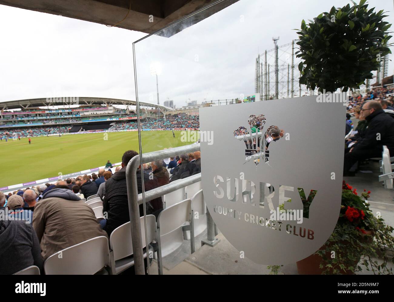 Surrey County Cricket Club livery at the Kia Oval Stock Photo - Alamy
