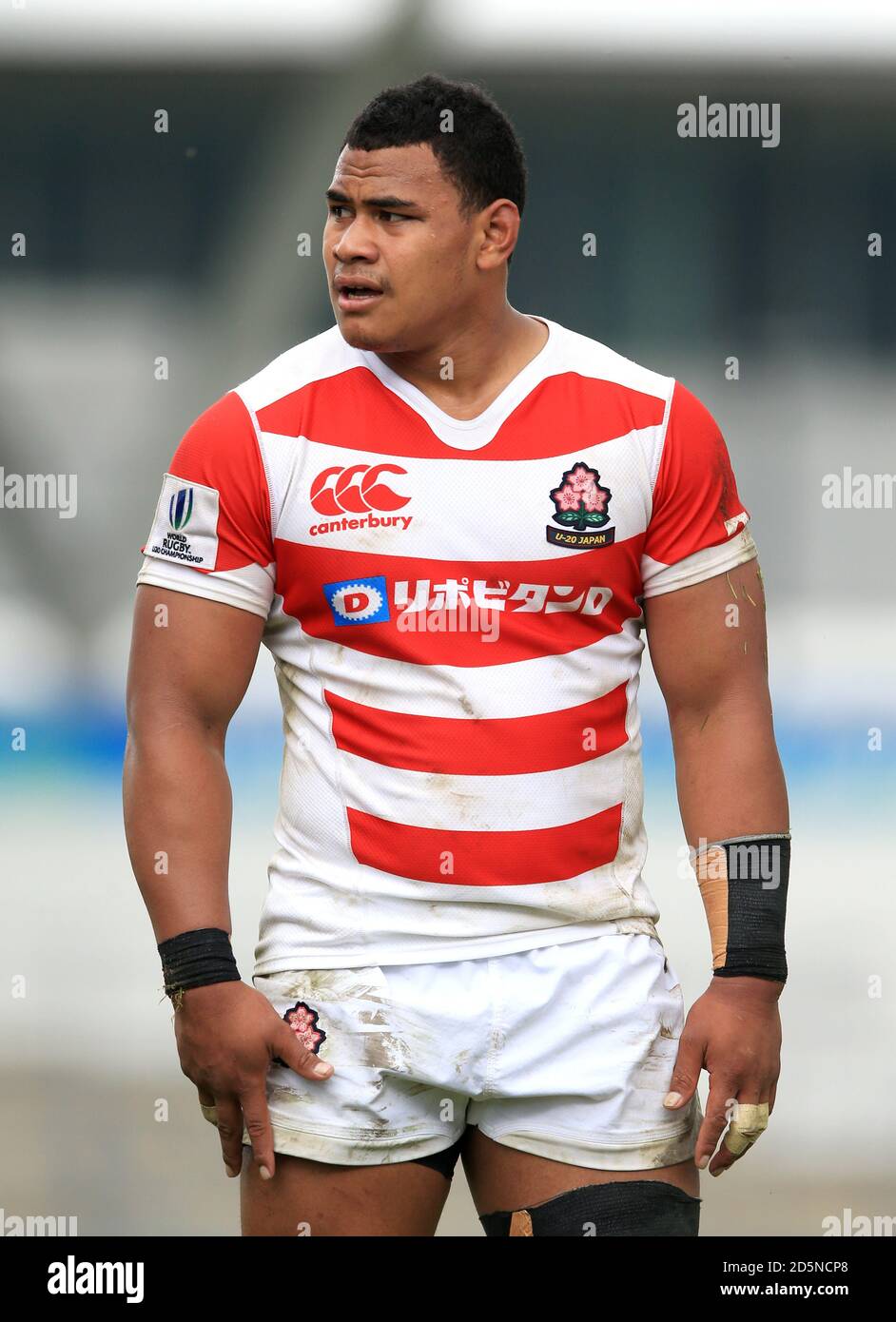 Tatafu hi-res stock photography and images - Alamy