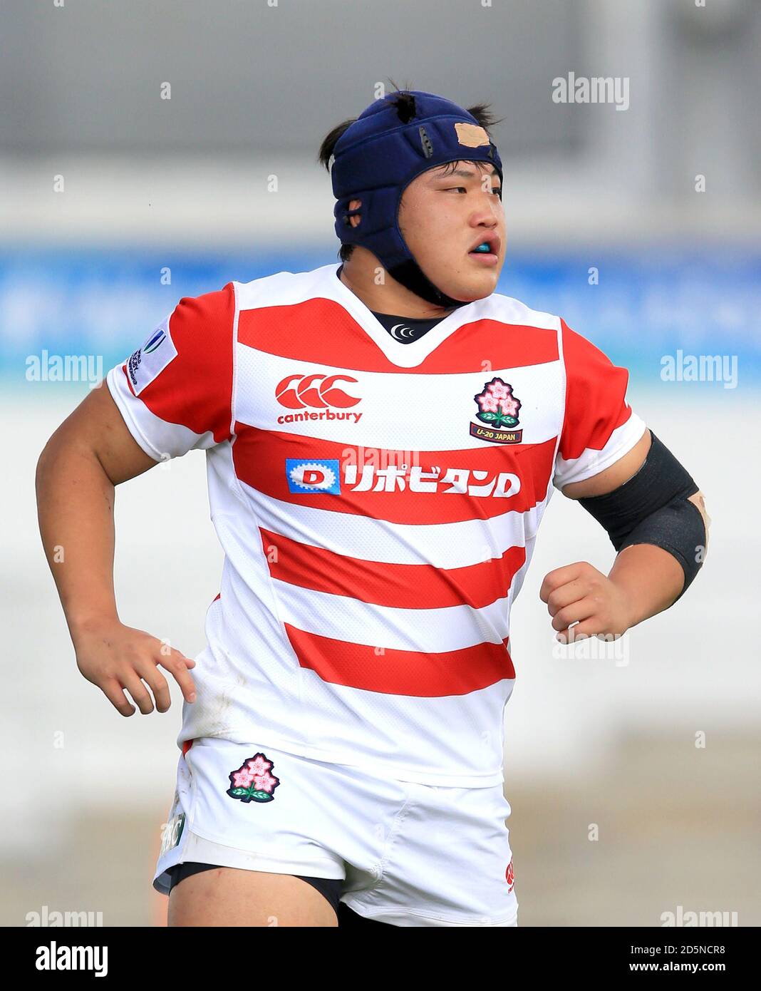 Shosuke Tashiro, Japan Stock Photo - Alamy