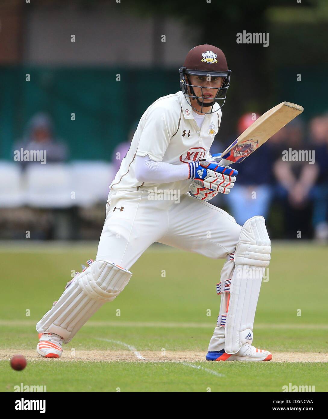 Full length batting bats bat hi-res stock photography and images - Alamy