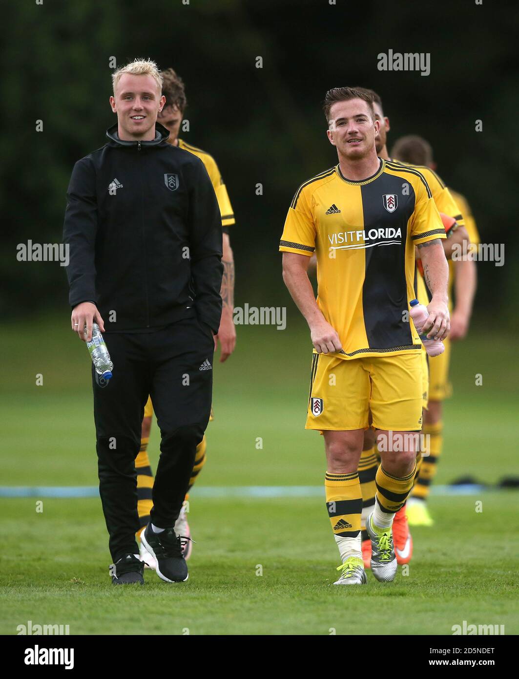 Fulham's Jack Grimmer and Ross McCormack (right Stock Photo - Alamy
