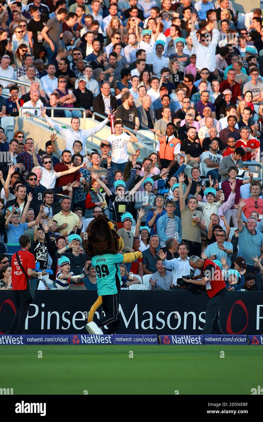 Surrey mascot Caesar the Lion throws t-shirts into the stands for the ...