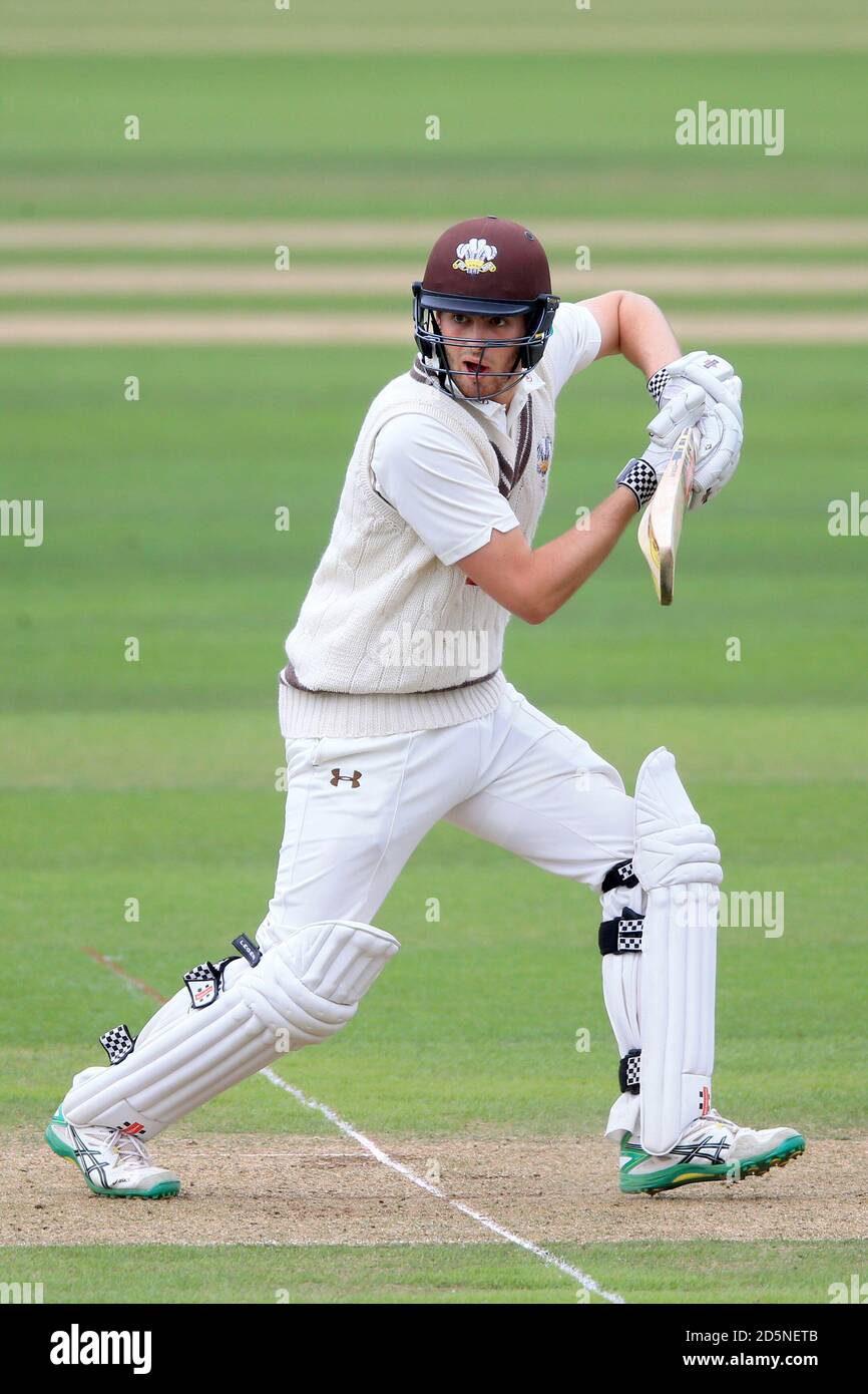 Sibley surrey hi-res stock photography and images - Alamy