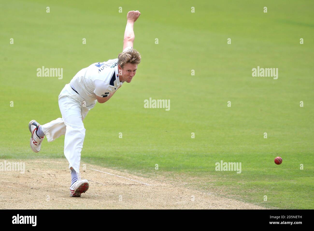 Steven patterson hi-res stock photography and images - Alamy