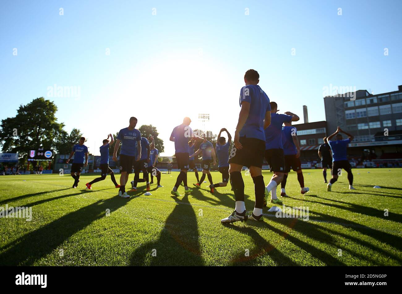 Brighton and Hove Albion players during warmup Stock Photo - Alamy
