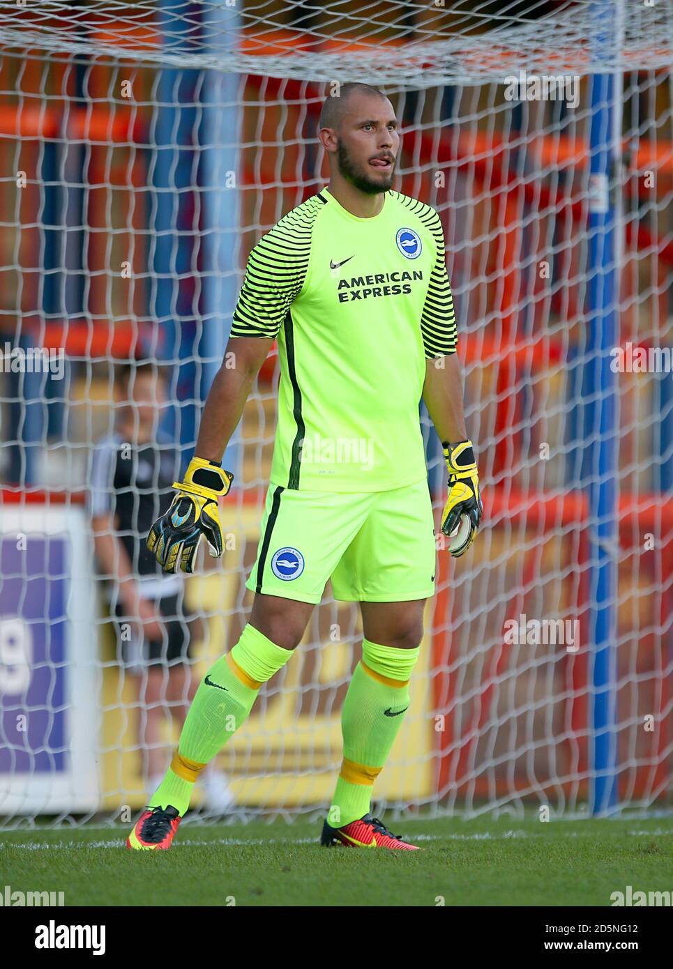Brighton and Hove Albion goalkeeper Nicky Maenpaa Stock Photo - Alamy