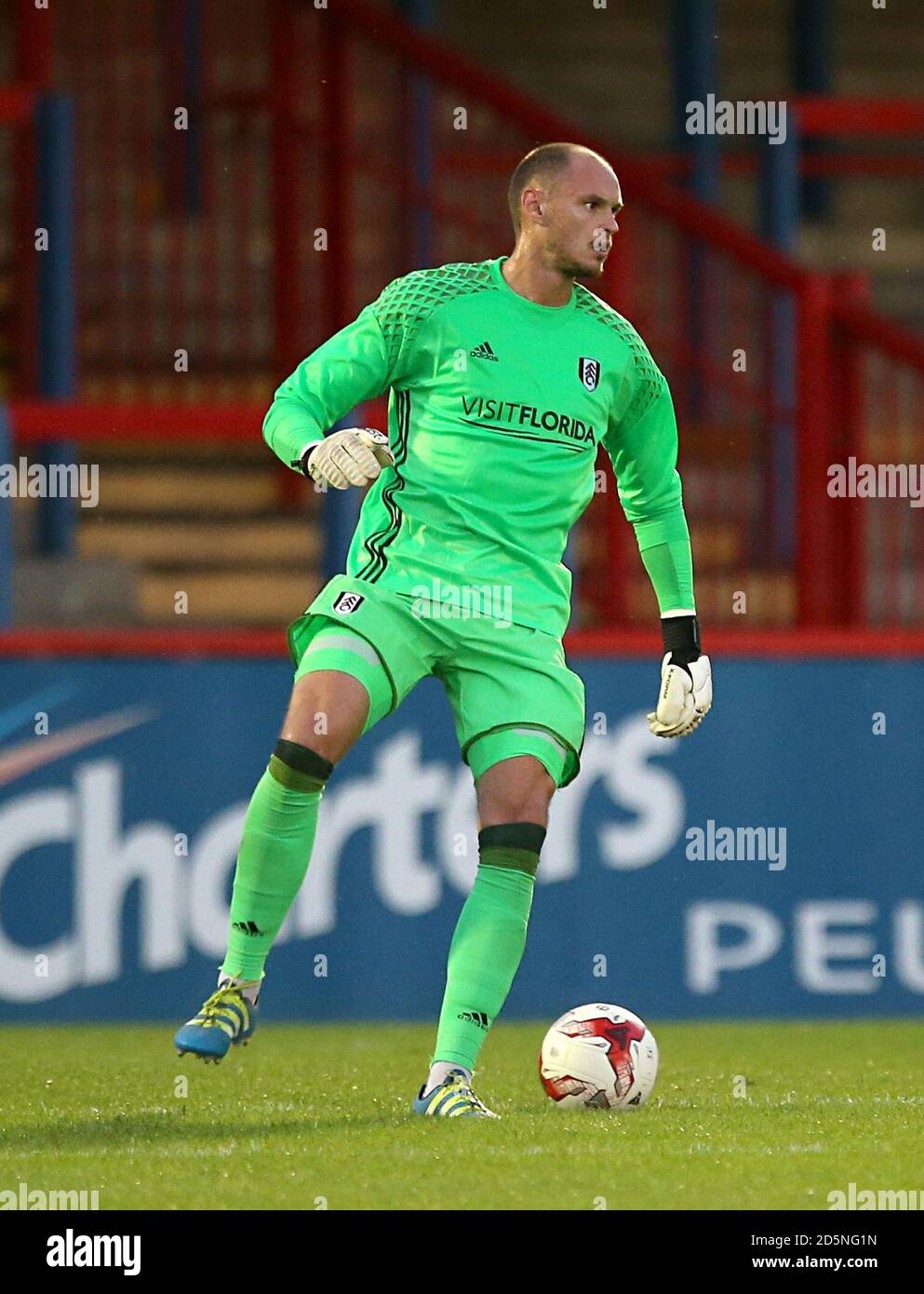 Goalkeeper David Button, Fulham Stock Photo - Alamy