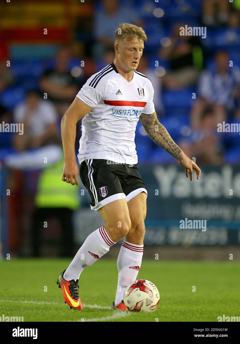 Stephen humphrys hi-res stock photography and images - Alamy