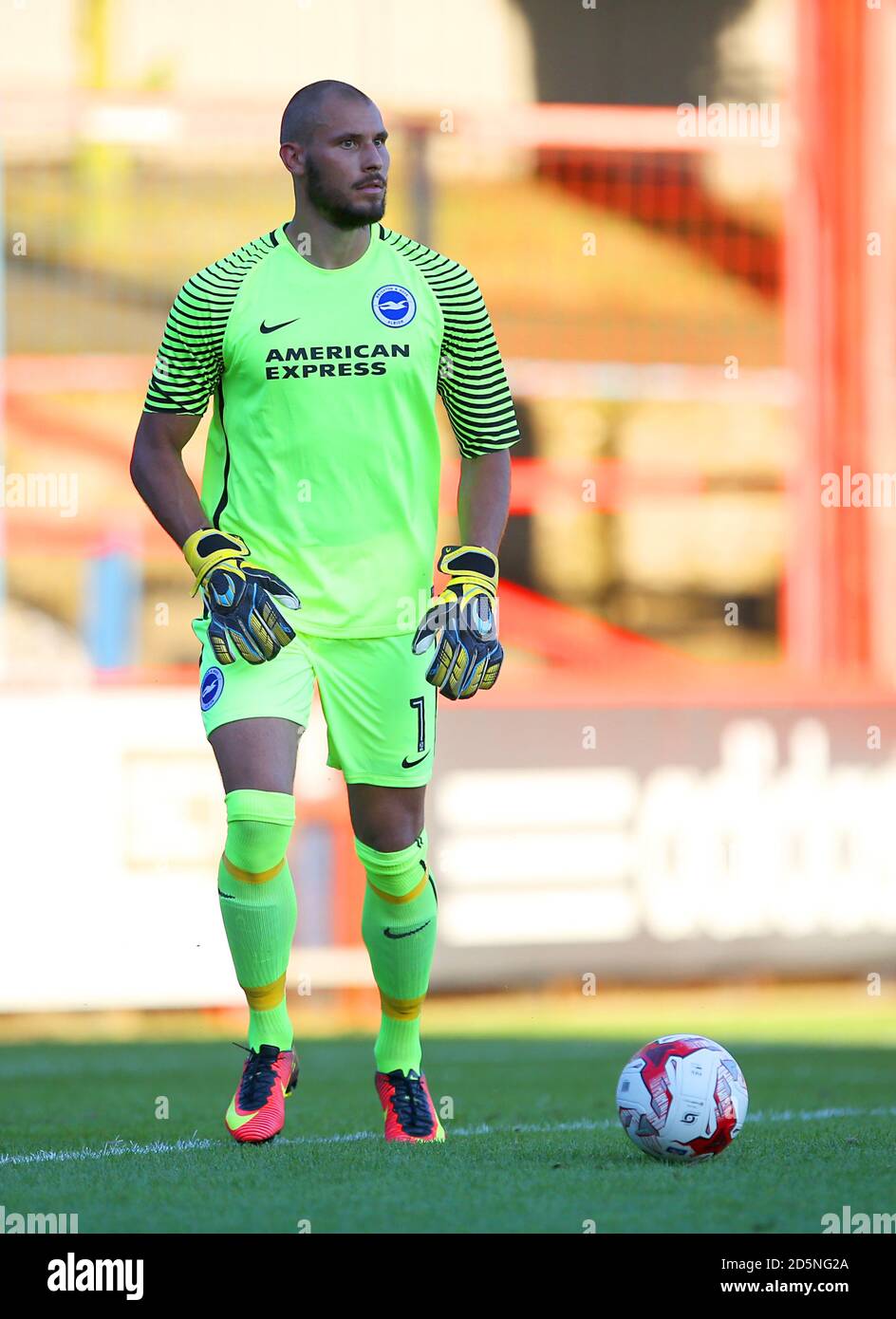Brighton and Hove Albion goalkeeper Nicky Maenpaa Stock Photo - Alamy
