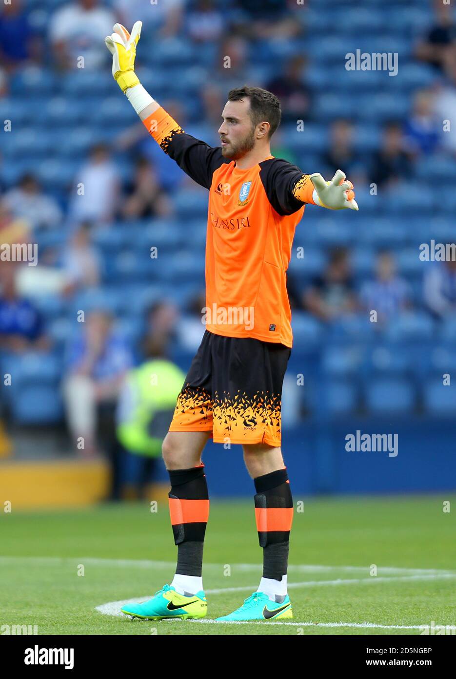 Goalkeeper Joe Wildsmith, Sheffield Wednesday Stock Photo - Alamy