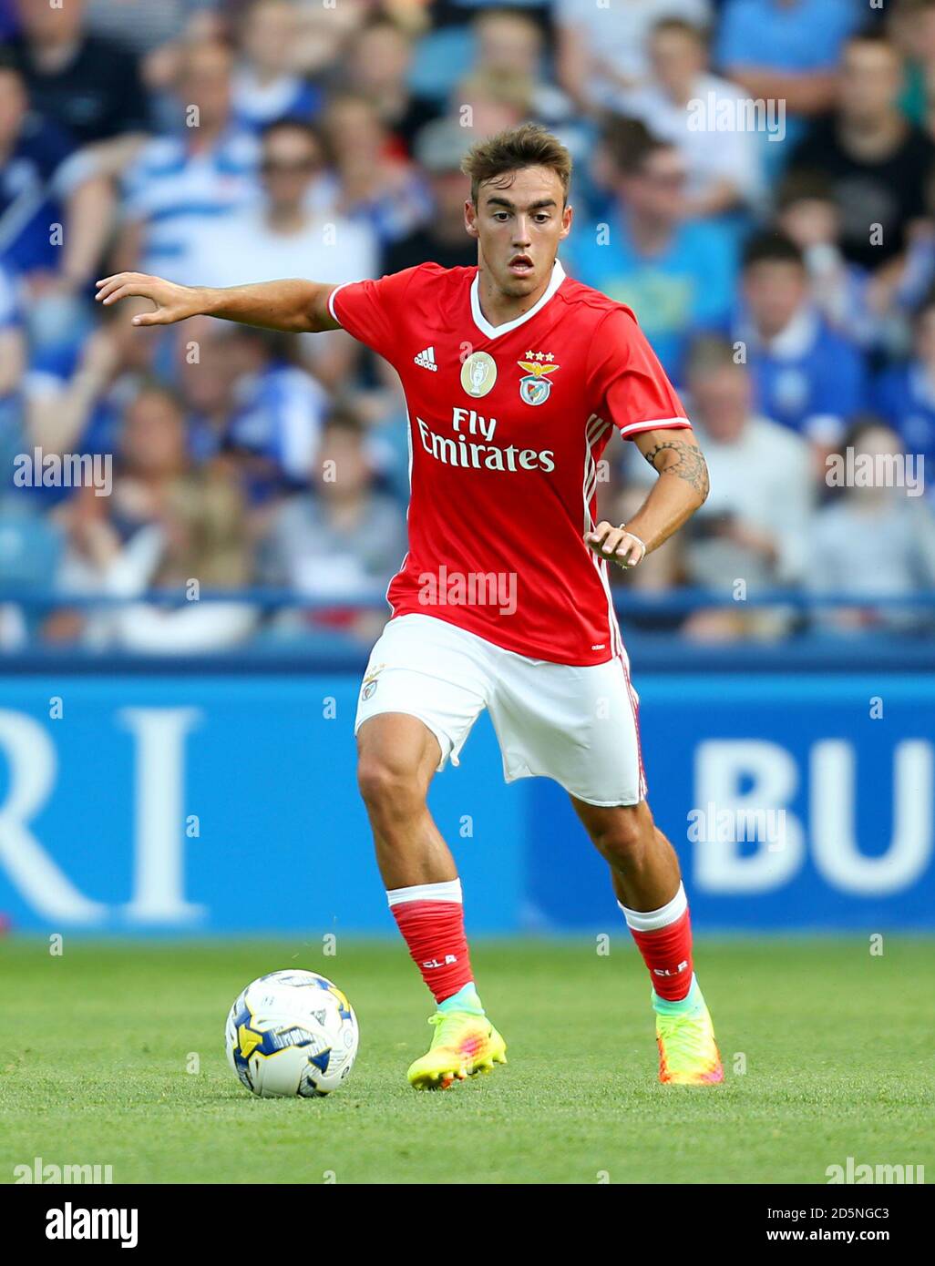 Andre Horta, Benfica Stock Photo - Alamy
