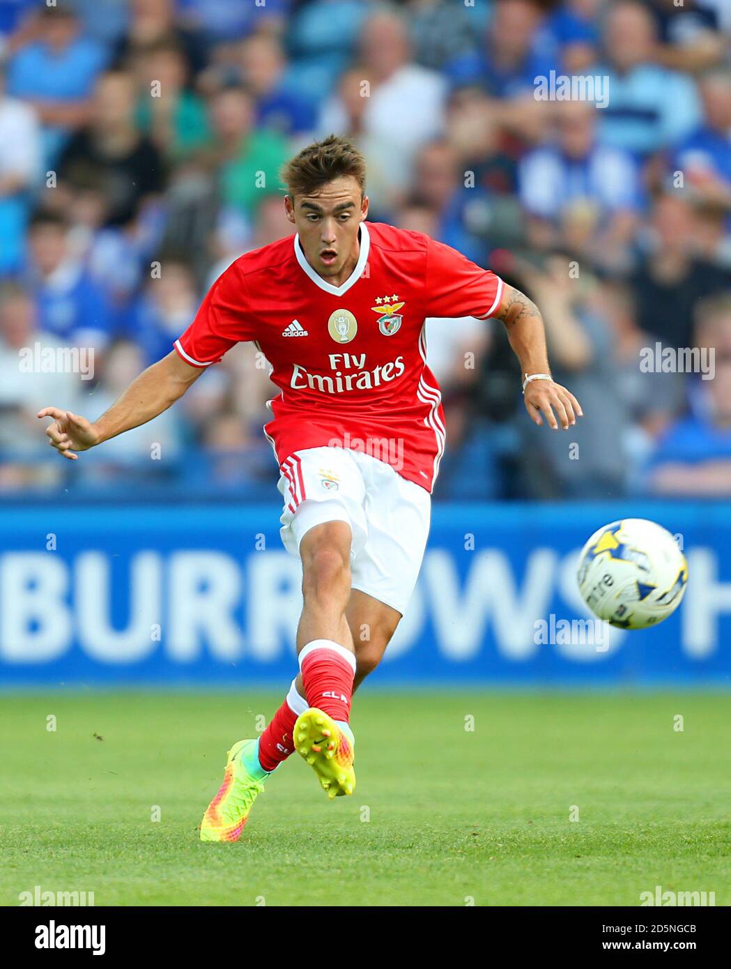 Andre Horta, Benfica Stock Photo - Alamy