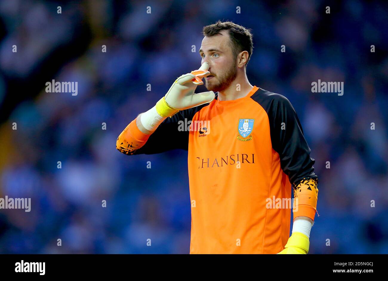 Goalkeeper Joe Wildsmith, Sheffield Wednesday Stock Photo - Alamy