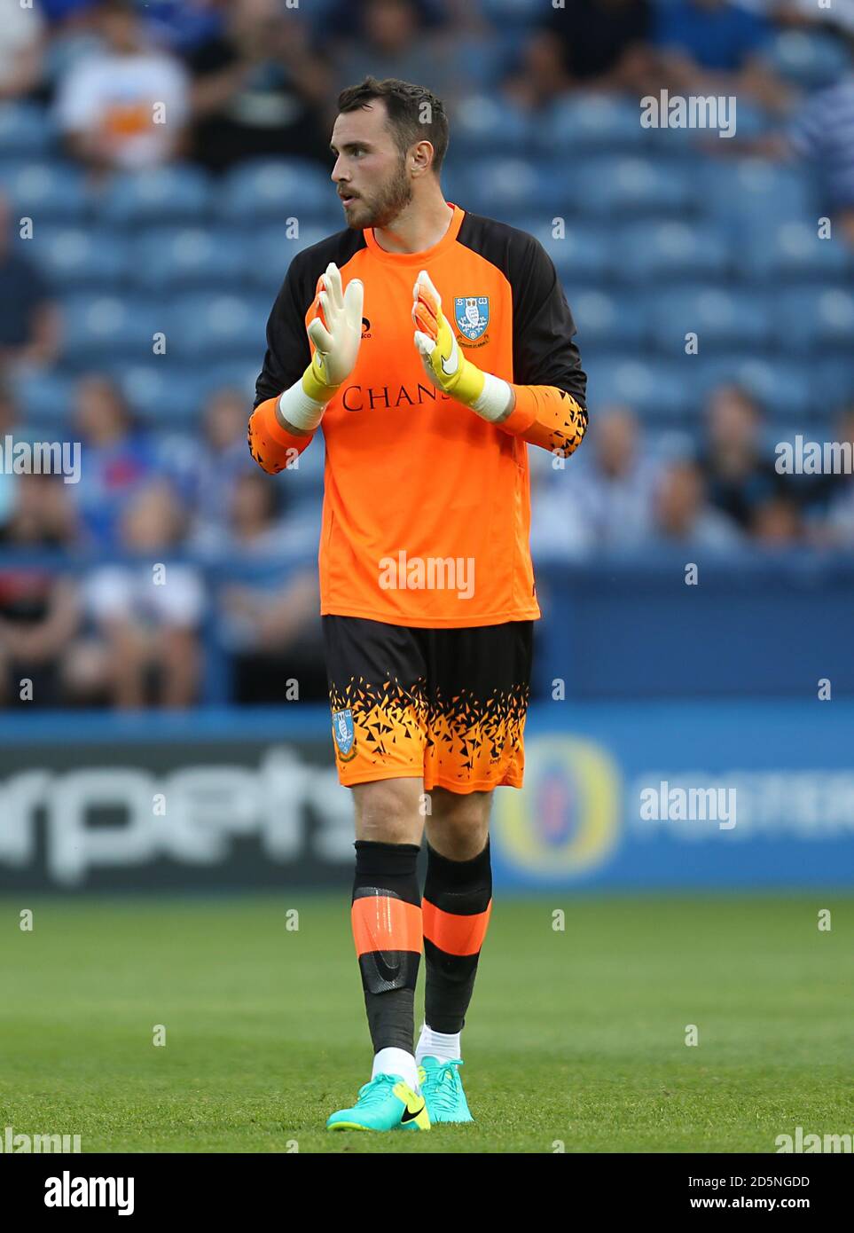 Sheffield wednesday goalkeeper joe wildsmith hi-res stock photography ...