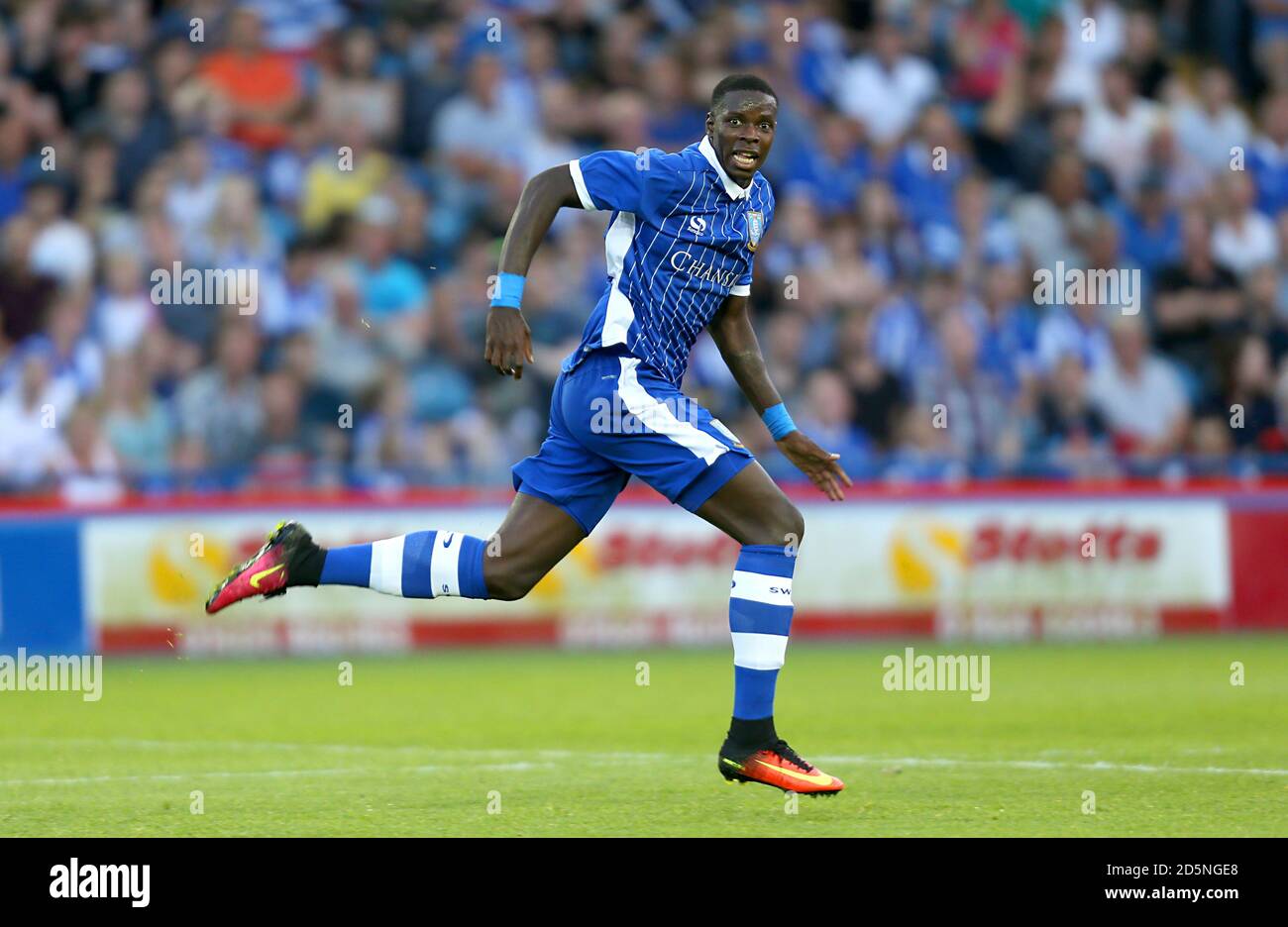 Lucas Joao, Sheffield Wednesday Stock Photo - Alamy