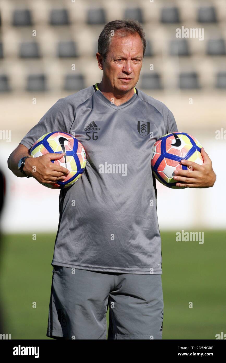 Fulham coach Stuart Gray Stock Photo - Alamy