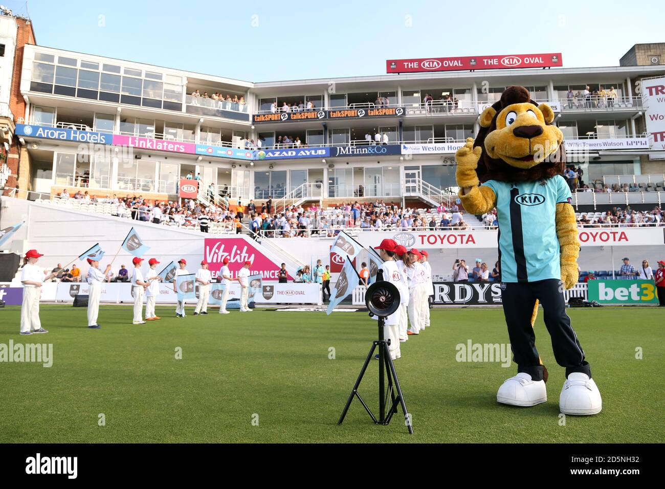 Surrey mascot Caesar the Lion Stock Photo - Alamy
