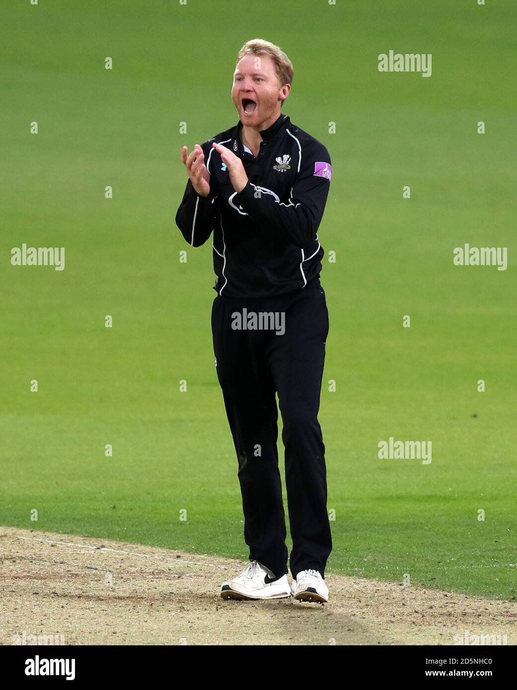 Surreys tom smith hi-res stock photography and images - Alamy